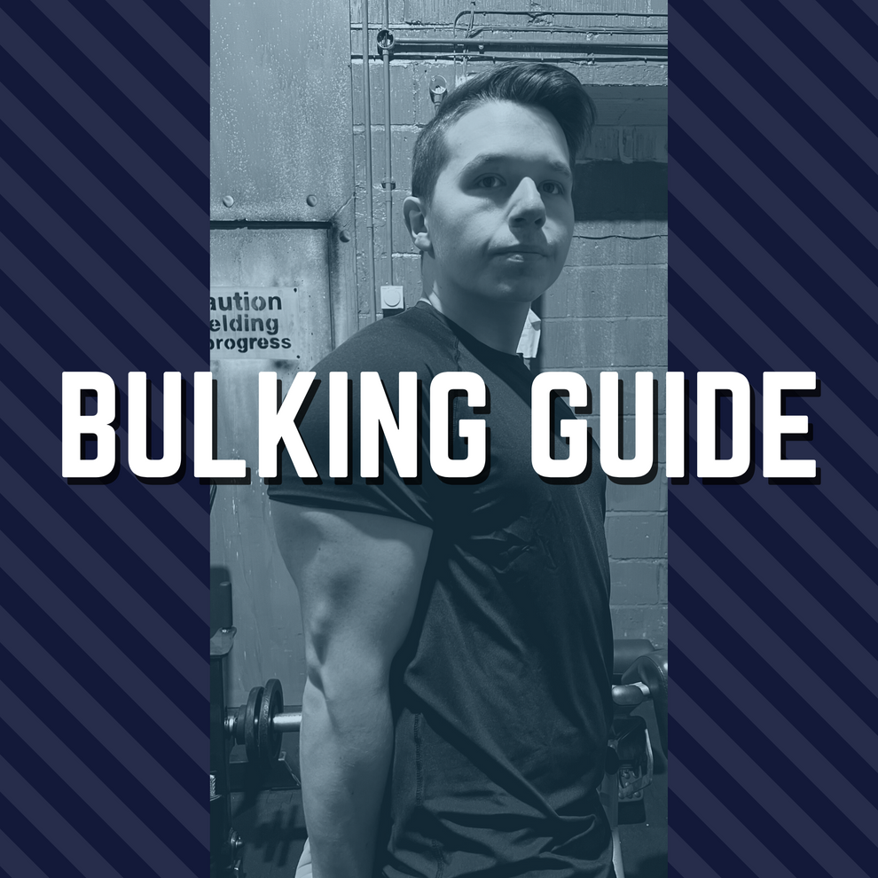 Bulking Guide – The Game Log